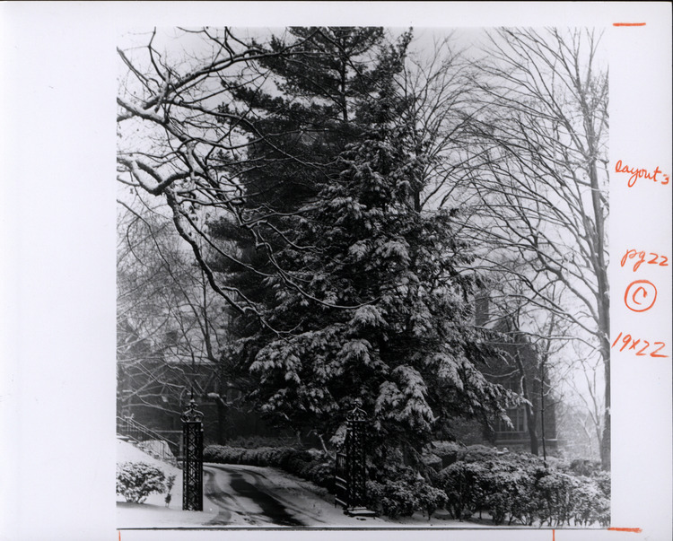 President's House; Alumni Memorial Building / Snowy | Lehigh Preserve