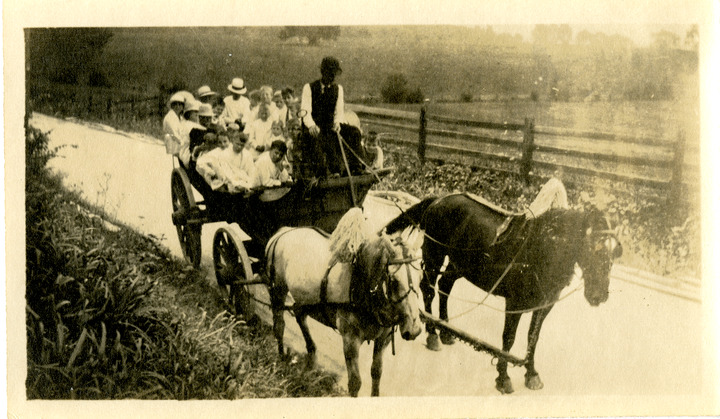 Jacob Frey collection--Two horses pulling carriage with one man and ...