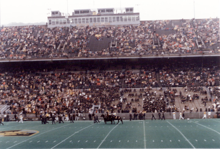 Fans in the stands watch the parade on the field | Lehigh Preserve