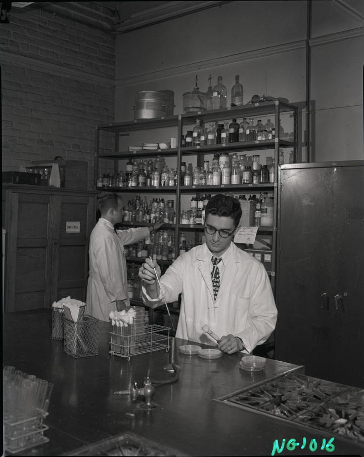 Group portrait / Williams Hall (?) / Pre-Medical Labs; Biology ...