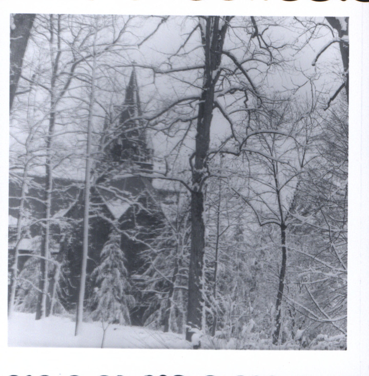 Photo of snow covered trees on campus, including Packer Hall, the ...