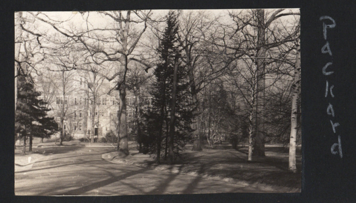 Packard | Lehigh Preserve