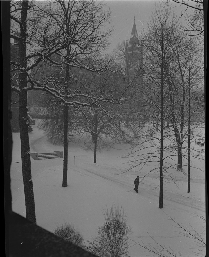 Lehigh Campus Winter | Lehigh Preserve