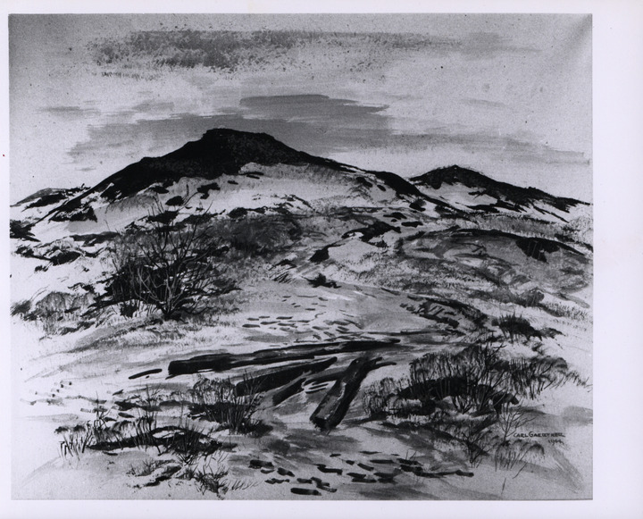 Art | Lehigh Preserve