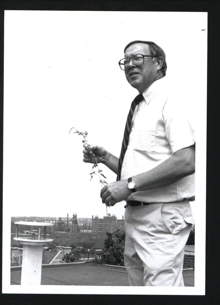 Biology Professor Hayden Pritchard holds a ragweed plant | Lehigh Preserve
